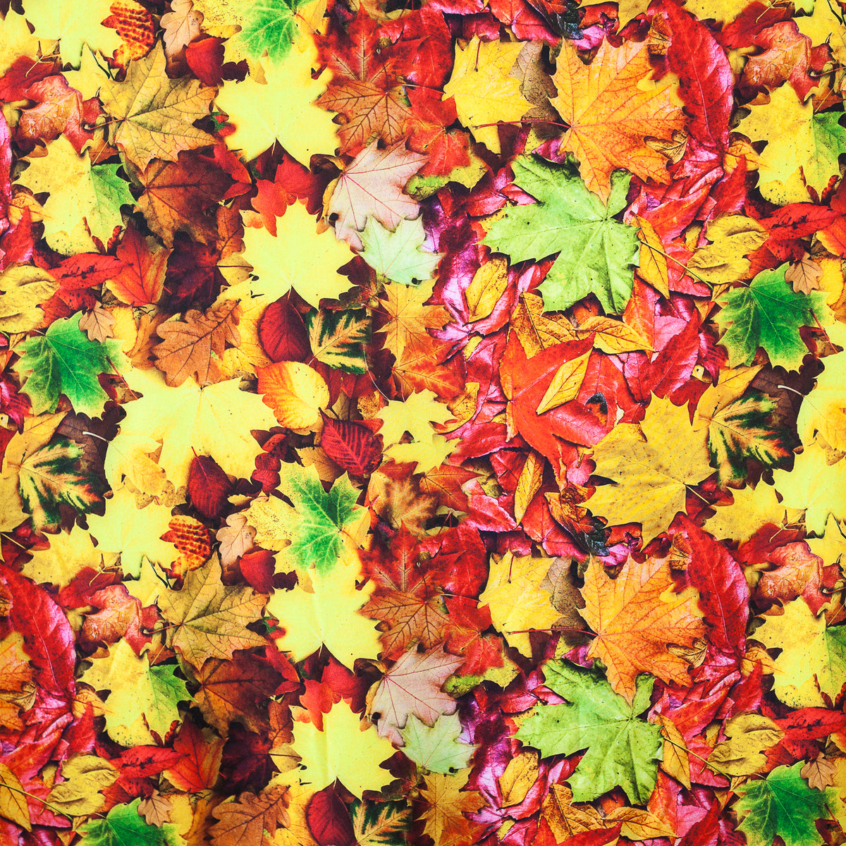 Autumn Leaves Laminating Sleeve – Fred's Legs