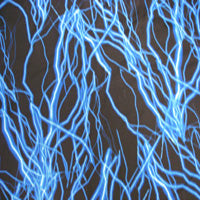 Static Blue Laminating Sleeve – Fred's Legs